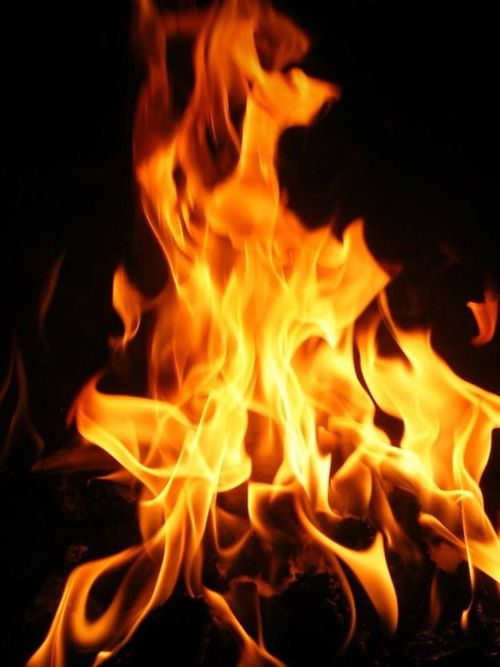 Leena Wild - leenawild OnlyFans