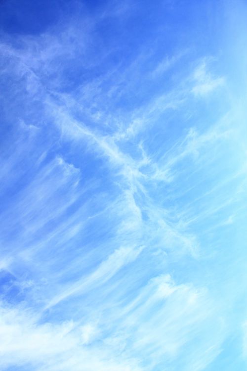 Portland Reign - portlandreign OnlyFans