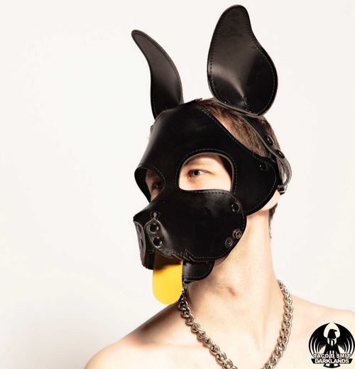 Pup Davey - puppydavey OnlyFans