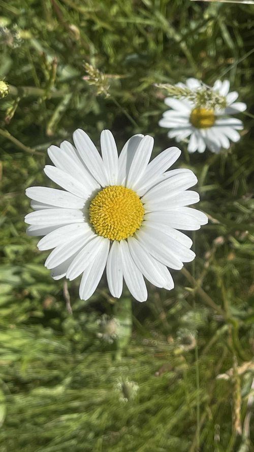 Sam - samsamsammy OnlyFans